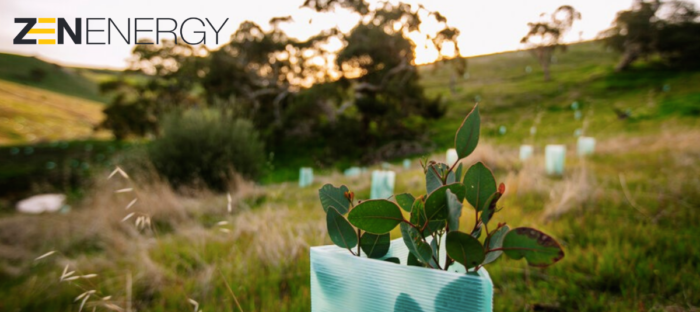 Zen Energy Supports a Pioneering Environmental Project To Bring Nature ...
